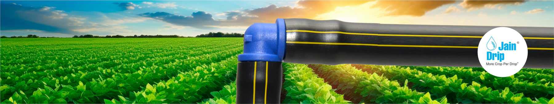Drip Fittings & Accessories – Jain Irrigation