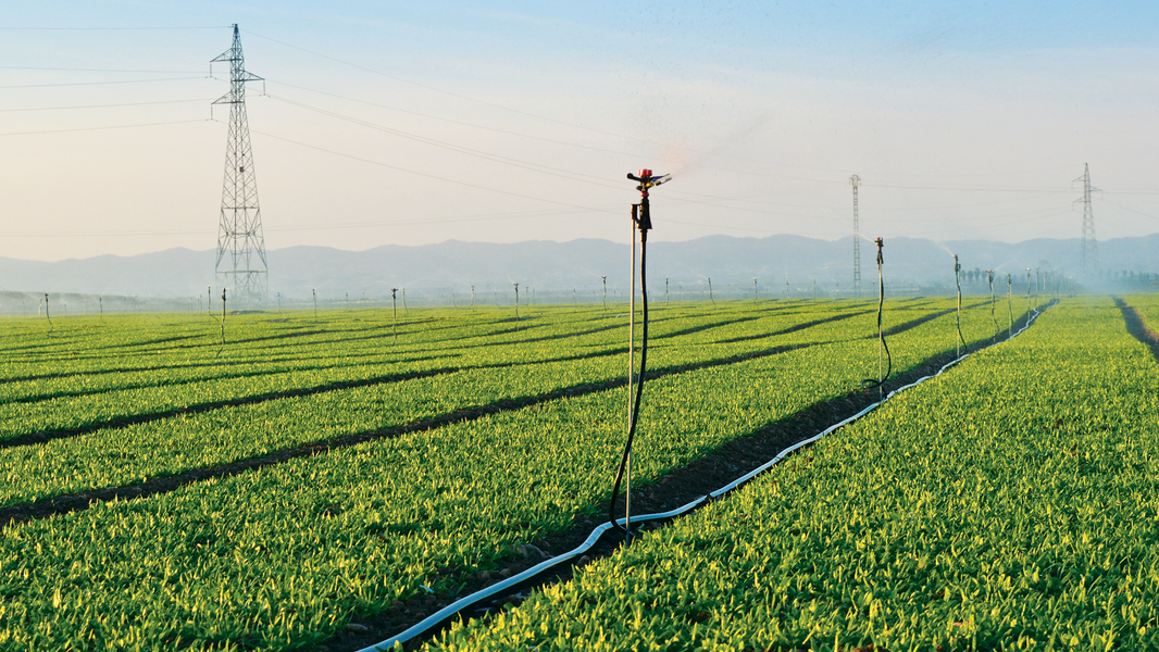 Jain Irrigation Systems | Shop Online | JISL Sprinklers & Drip Kits